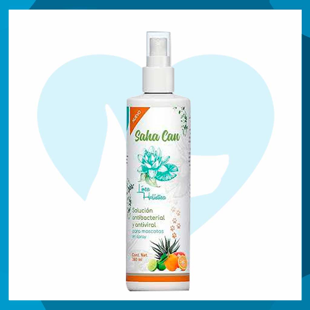 Solución Antibacteriana Y Antiviral Spray 300 ml